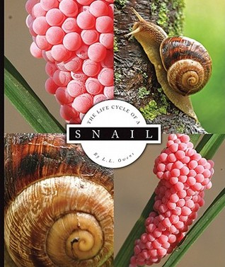 Life Cycle of a Snail - book review - Huntley Area Public Library