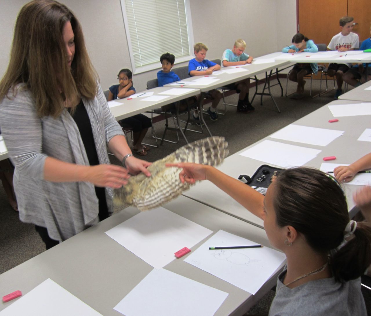 Project Tween Sketch a Bird of Prey July 2015