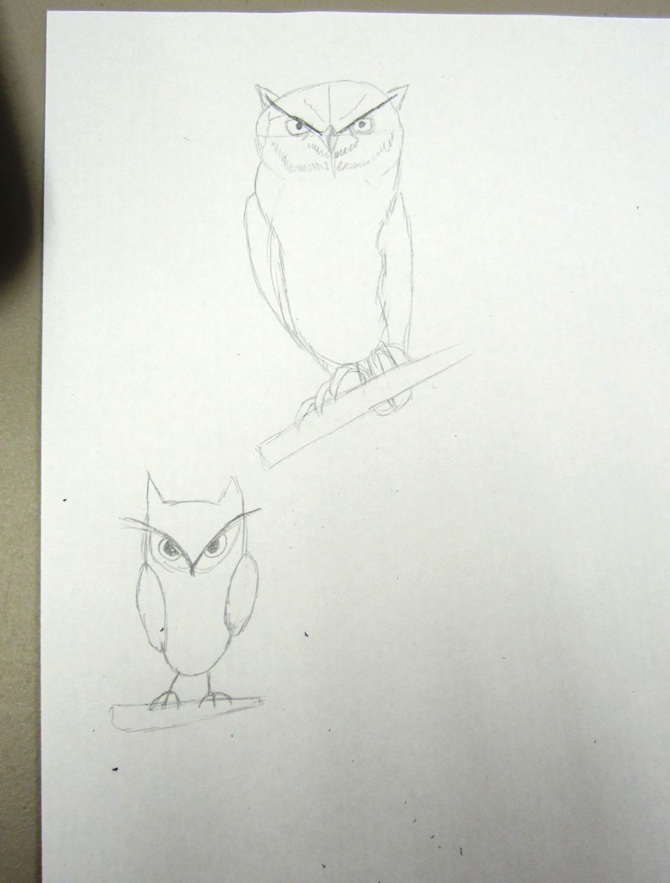 Project Tween Sketch a Bird of Prey July 2015