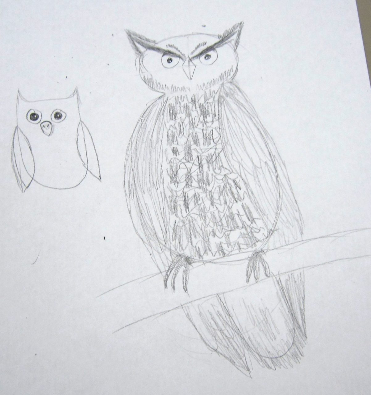 Project Tween Sketch a Bird of Prey July 2015