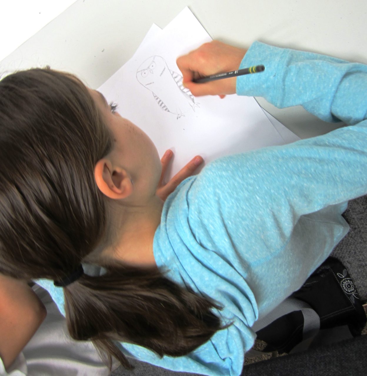 Project Tween Sketch a Bird of Prey July 2015