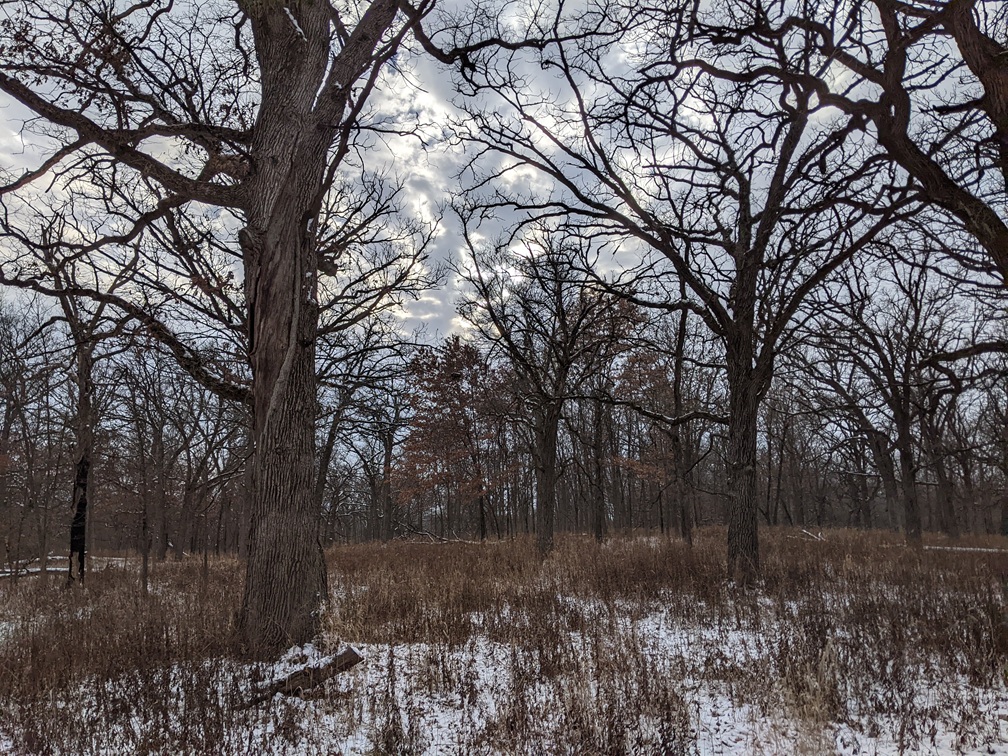 Teen Photo Challenge – January and February 2026 - Huntley Area Public ...